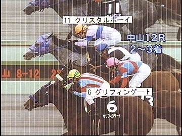 レース結果 JRA