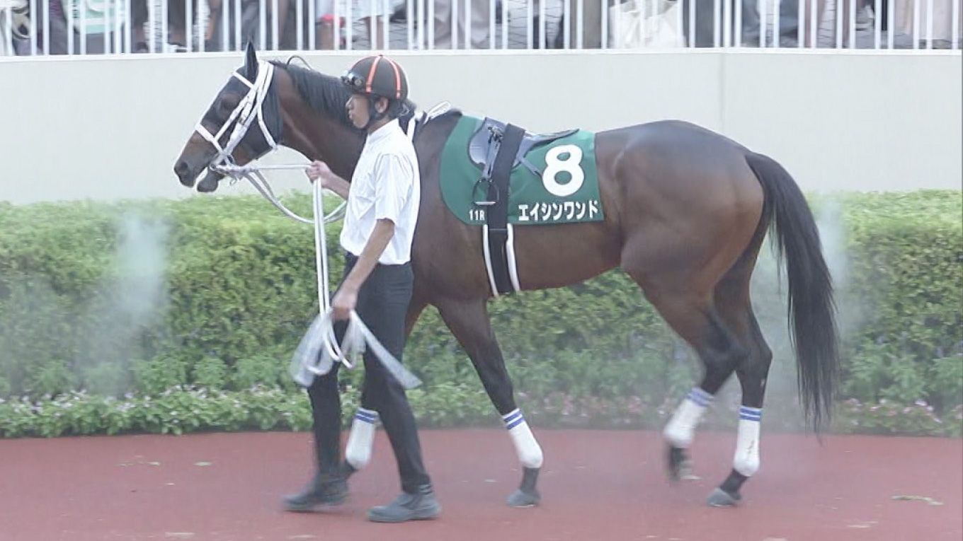 出走馬情報：CBC賞 今週の注目レース JRA