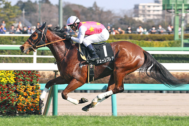 出走馬情報：CBC賞 今週の注目レース JRA