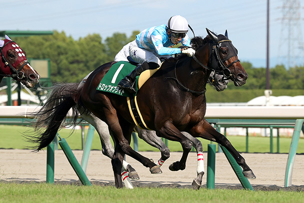 出走馬情報：CBC賞 今週の注目レース JRA