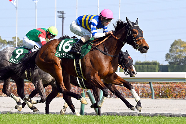 出走馬情報：CBC賞 今週の注目レース JRA