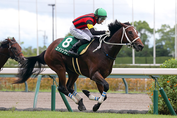 出走馬情報：CBC賞 今週の注目レース JRA
