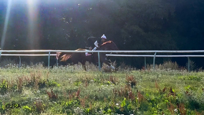 2025インターナショナルステークス（G1）JRA所属馬の近況（8月13日（水曜）） JRA