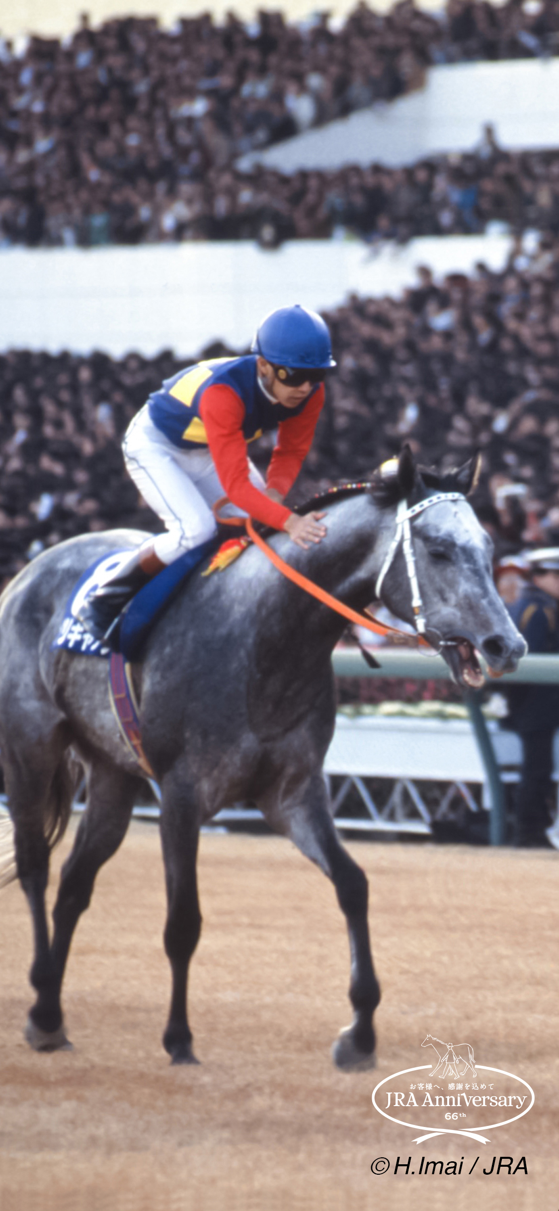 JRA 66thアニバーサリーキャンペーン 壁紙プレゼント