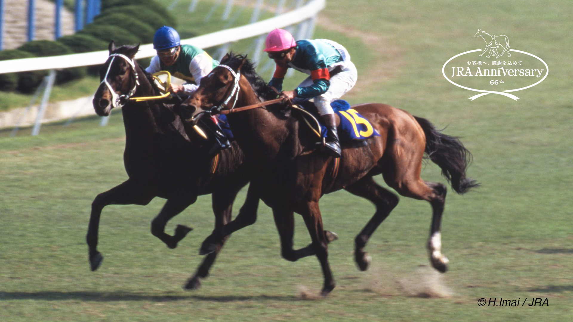 JRA 66thアニバーサリーキャンペーン 壁紙プレゼント