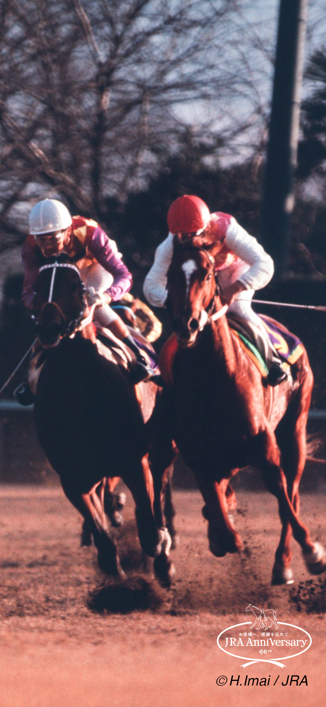 JRA 66thアニバーサリーキャンペーン 壁紙プレゼント