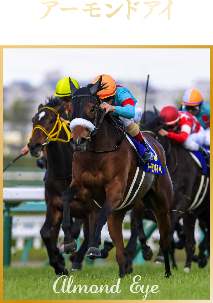 JRA卓上カレンダー プレゼントキャンペーン | JRA