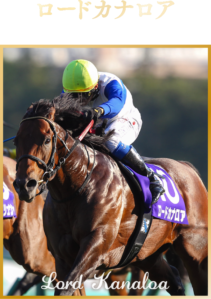 JRA卓上カレンダー プレゼントキャンペーン | JRA