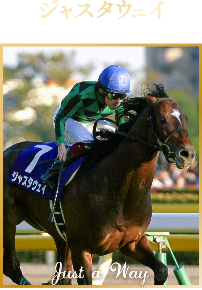 JRA卓上カレンダー プレゼントキャンペーン | JRA