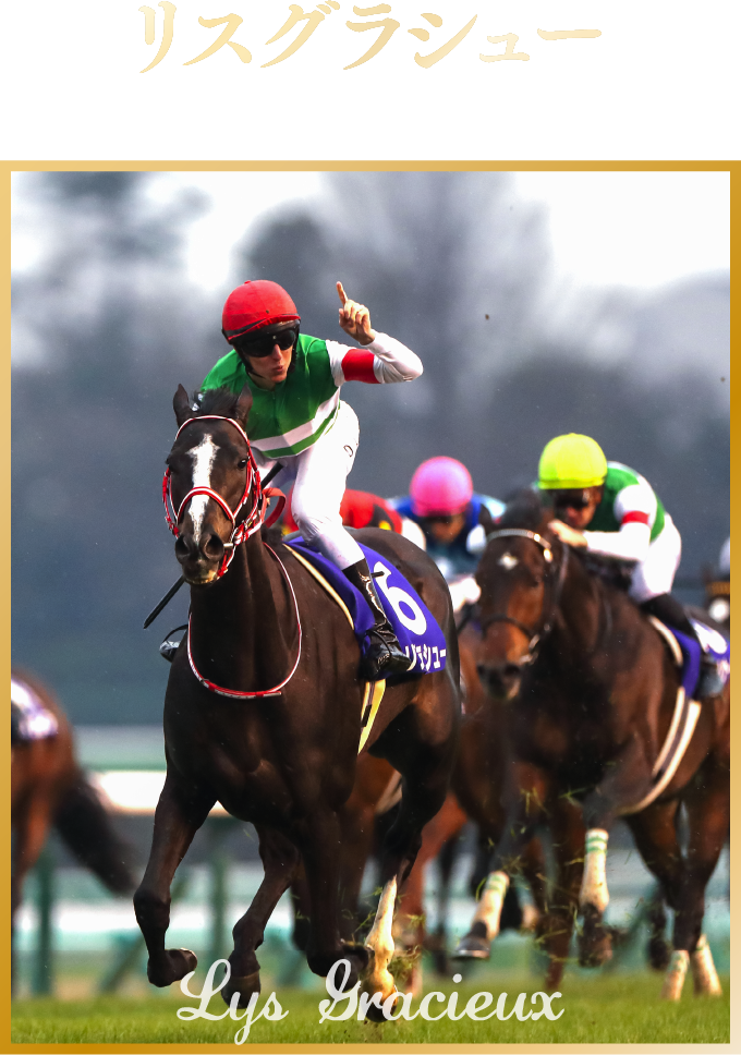 JRA卓上カレンダー プレゼントキャンペーン | JRA