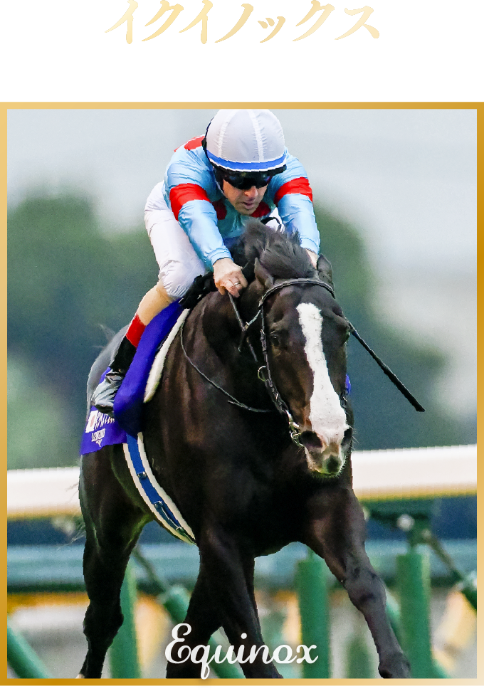 JRA卓上カレンダー プレゼントキャンペーン | JRA