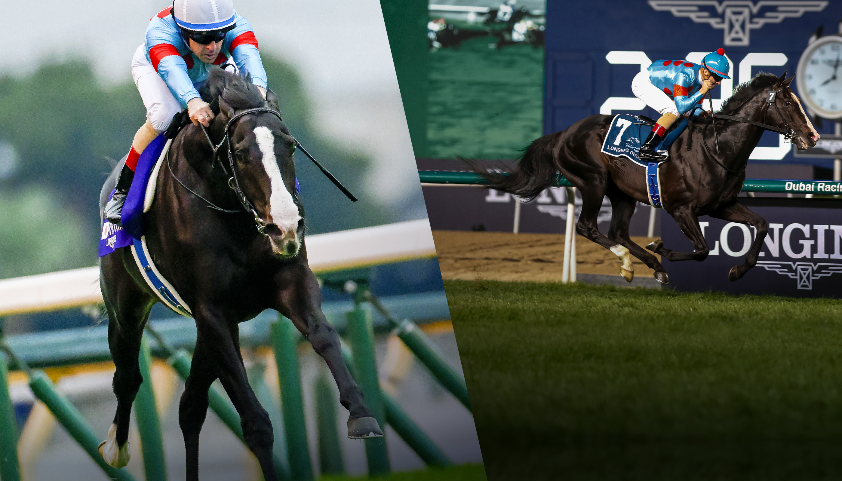 JRA卓上カレンダー プレゼントキャンペーン | JRA