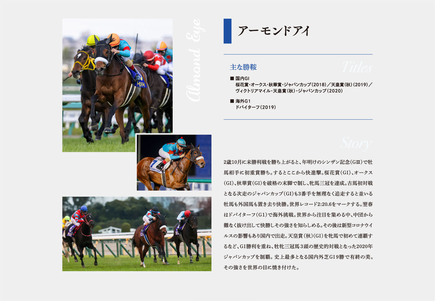 JRA卓上カレンダー プレゼントキャンペーン | JRA