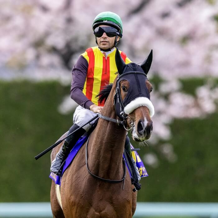 投票｜みんなでつくる名馬ポスター | JRA70周年特設サイト｜JRA