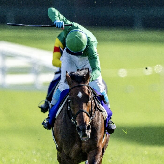 投票｜みんなでつくる名馬ポスター | JRA70周年特設サイト｜JRA