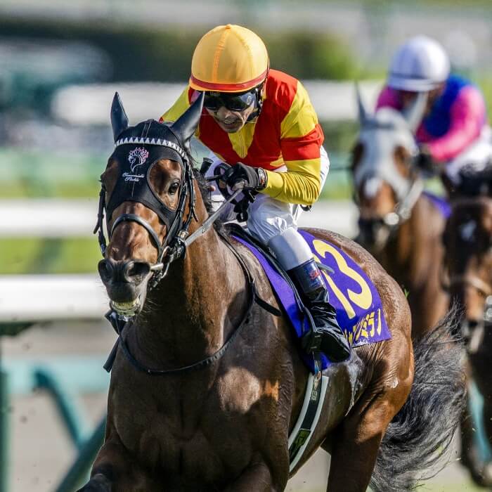 投票｜みんなでつくる名馬ポスター | JRA70周年特設サイト｜JRA