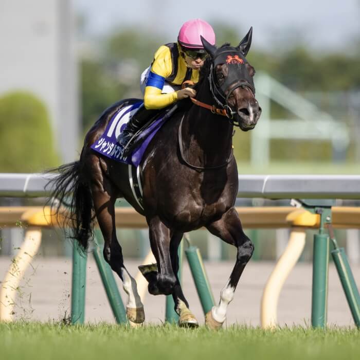 投票｜みんなでつくる名馬ポスター | JRA70周年特設サイト｜JRA