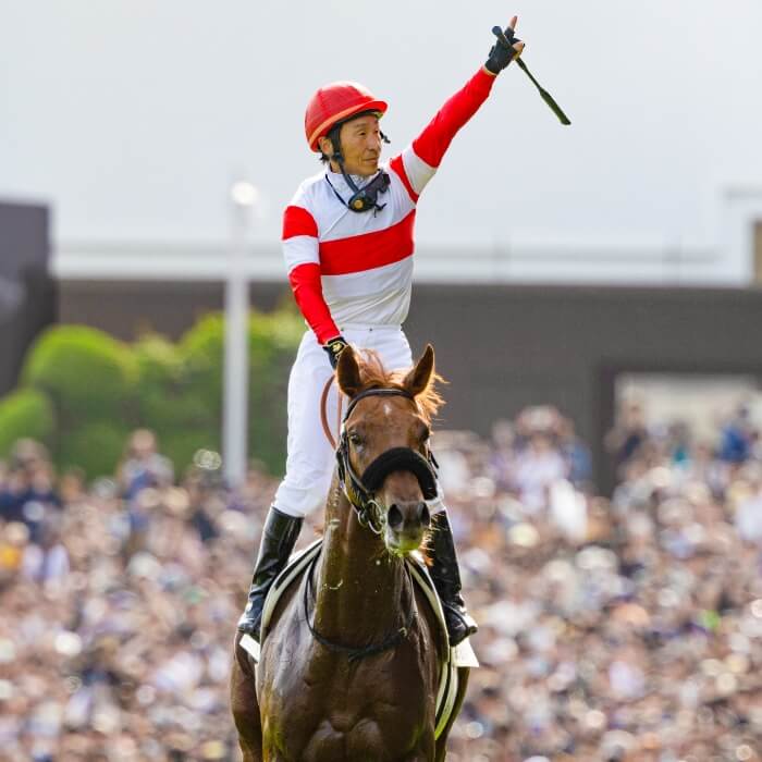 投票｜みんなでつくる名馬ポスター | JRA70周年特設サイト｜JRA