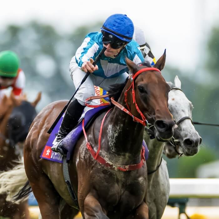 投票｜みんなでつくる名馬ポスター | JRA70周年特設サイト｜JRA